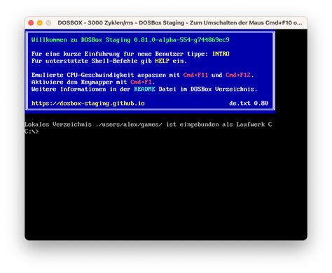 Output Surface Doesnt Scale Up 320x200 On Macos · Issue 2414