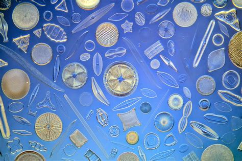 Jake Klonsky Photography Project 2 Framing And Composition