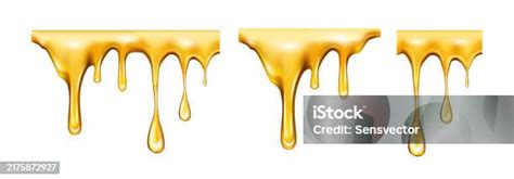 꽃에서 달콤한 꿀이 떨어지고 방울과 함께 고립 된 현실적인 꿀 액체 벡터 유기 및 자연 생산 양봉 및 양봉장 양봉 및 고품질 제품 가지 식물 부위에 대한 스톡 벡터 아트 및