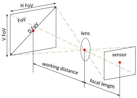 Learning About Field Of View Fov