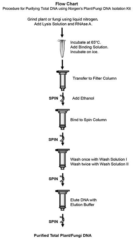 Plant Fungi Dna Isolation Kit Protocol