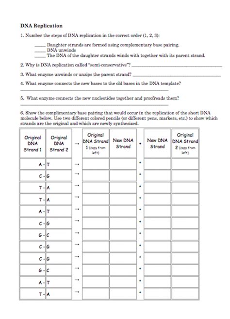 Solved DNA Replication Number The Steps Of DNA Replication In The Answer Transtutors
