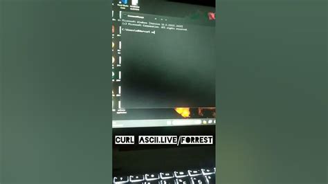 Cmd Tricks And Hacks Cmd Shortvideo Tiktok Reels Cmdcommand