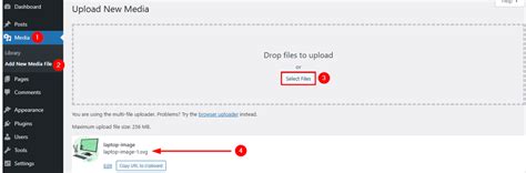 How To Enable SVG Support In WordPress Hosted Tutorial