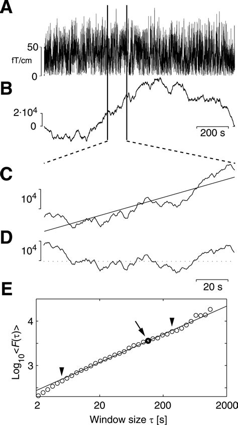 Long Range Temporal Correlations And Scaling Behavior In Human Brain Oscillations Journal Of