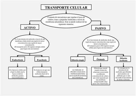 Mapa Conceptual Del Transporte Celular 4 Marita Udocz