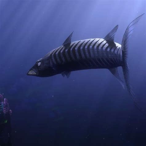 Toy Story 4 Easter Egg The Barracuda That Ate Nemos Mom In Finding
