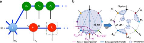 Tensor Network State Construction And Entanglement Renormalisation