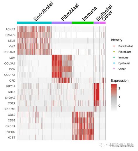 单细胞 图片美化1 Umap图 原图 美化后 2 热图 原图 美化后 自定义cluster的顺序 3 小提琴图 4 掘金