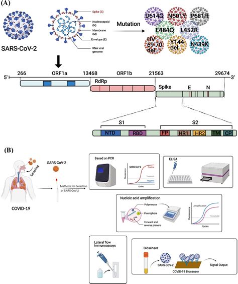 Multiplex Biosensing For Simultaneous Detection Of Mutations In Sars