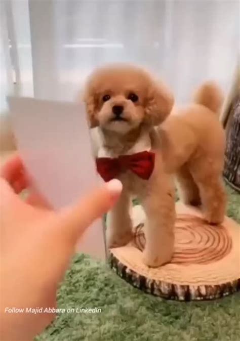 Like Comment Share Growyourskill Enhance Dailywork Vamsi Krishna