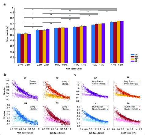 Summary Of Gait Parameters For Different Overground Walking Speeds A Download Scientific