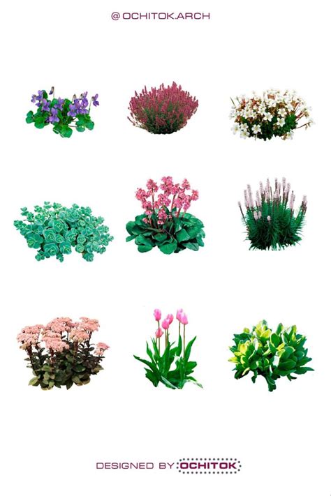 Png Plants Png растения Instagram