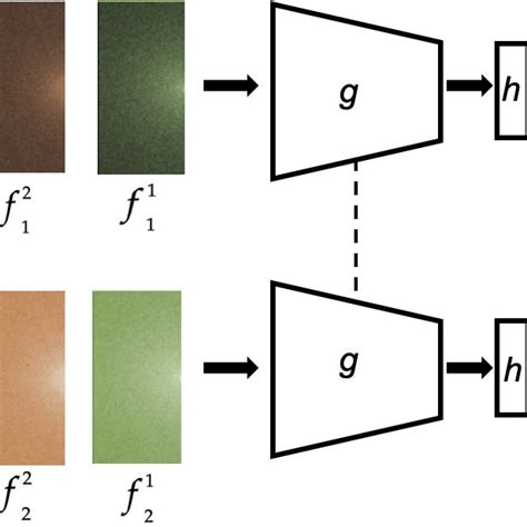proposed self supervised training from rfft of image patches the pairs