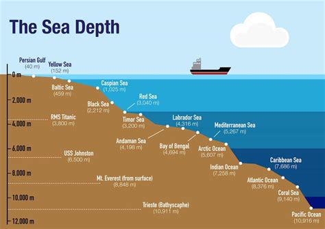 実は日本が世界一深さ8 336m最深地点で確認された魚スネイルフィッシュ TABIZINE人生に旅心を