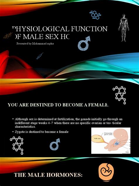 Physiological Functions Of Male Sex Hormone Presented By Mohammad Aqdus Pdf Androgen