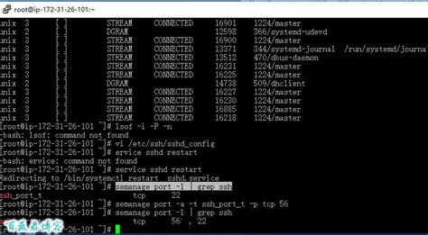 【原创文章】修改亚马逊aws Ec2 Linux系统ssh默认22端口失败的原因和解决办法 百蔬君