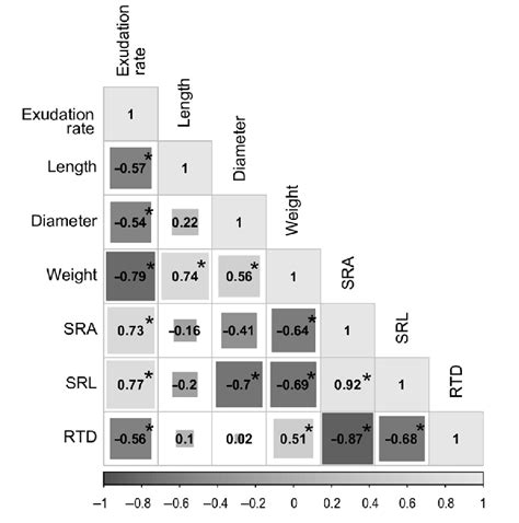 Correlation Between Different Root Parameters Exudation Rate And Download Scientific Diagram