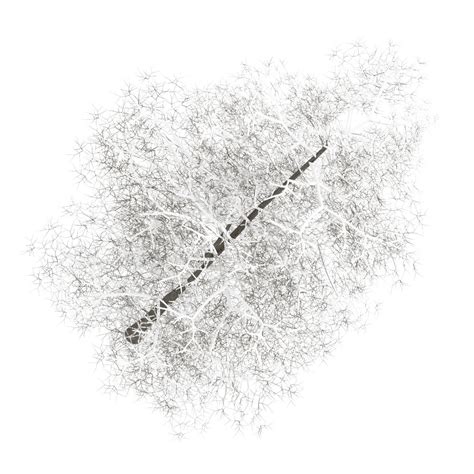 Cgaxis Models Volume 28 Trees Iii 3d Model 169 Max Unknown C4d