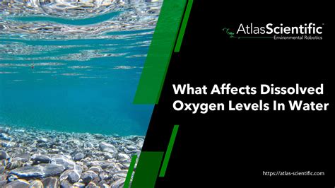 What Affects Dissolved Oxygen Levels In Water Atlas Scientific