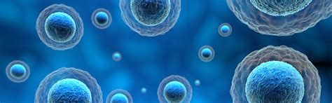 줄기세포 엑소좀 치료제 엑소스템텍