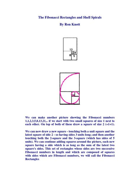 The Fibonacci Rectangles And Shell Spirals Leaf Solar System