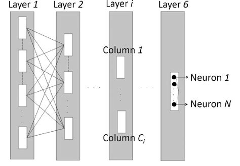 Illustration Of A Cortical Network Download Scientific Diagram