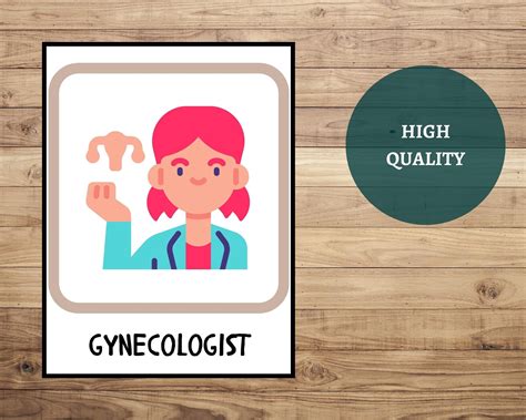 Female Reproductive System Flashcards Female Human Anatomy Busy Book Flashcards Human Anatomy