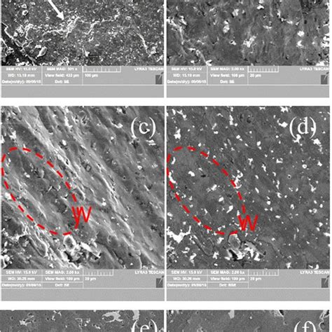 Sem Micrographs Of Sample ‘21 At Different Magnifications Taken On A