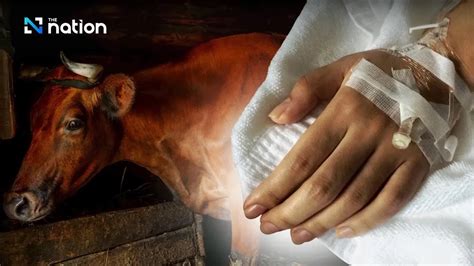 នាយកដ្ឋានប្រយុទ្ធនឹងជំងឺ នាយកដ្ឋានប្រយុទ្ធនឹងជំងឺឆ្លង Cdc