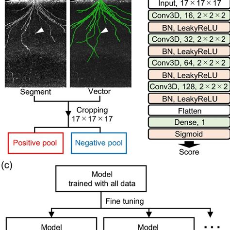 Discriminator For Overlapping A Based On The Vector Node Coordinates Download Scientific