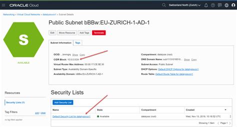 Connect Python To Oracle Dbaas Database And The Vcn Security Giannis World Things Crossing