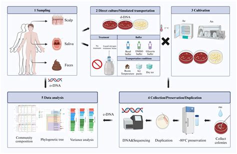 5 Types Of Microorganisms