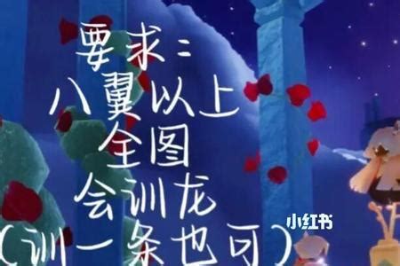 光遇无翼过完晨岛可以干嘛