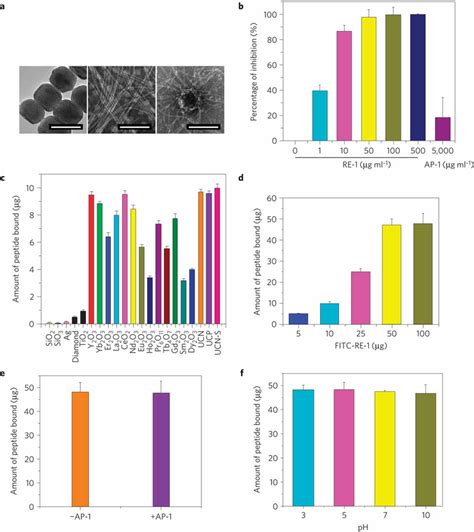 Phage Display Identifies A Specific High Affinity Binding Peptide Re 1 Download Scientific