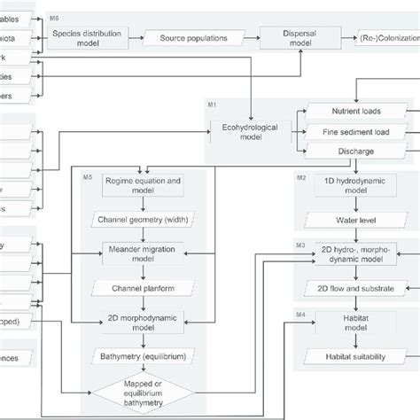 Flow Chart Of The Modelling Framework Models Are Coupled To Predict