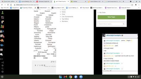 Chess Bug Pls Help Chess Forums Chess Bug Pls Help Chess Forums