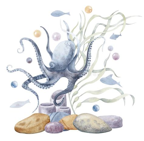 Octopus Isolated Watercolour Stock Illustrations 87 Octopus Isolated