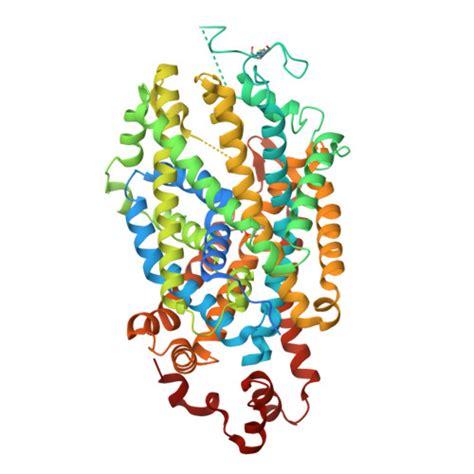 Rcsb Pdb 8z1l Cryo Em Structure Of Human Norepinephrine Transporter Net In The Presence Of