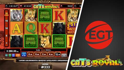 😸 სამეფო კატების ორი ბონუსი 😸 20₾ და 10₾ ბეთებზე Youtube