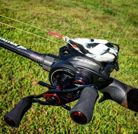 Conventional Vs Baitcasting Reels Differences Explained All Fishing Gear