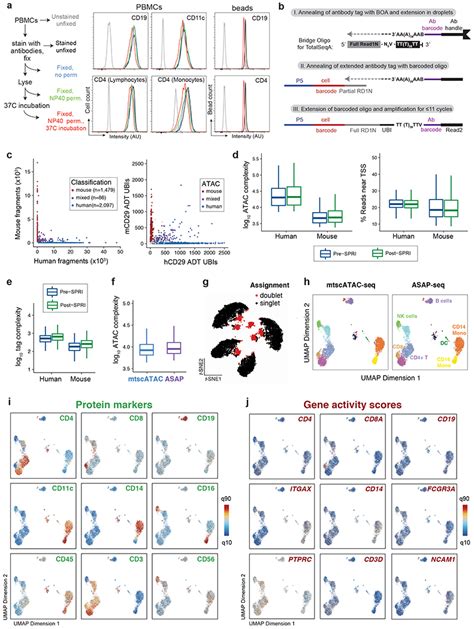 Scalable Multimodal Profiling Of Chromatin Accessibility Gene Expression And Protein Levels In