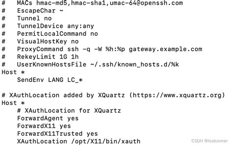 macbook pro通过ssh显示linux服务器上的图形化界面｜xquartz｜royal tsx mac连接linux图形界面 csdn博客