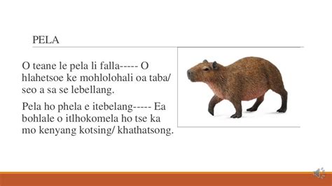 Maeele Ka Liphoofolo Tse Hlaha Pptx