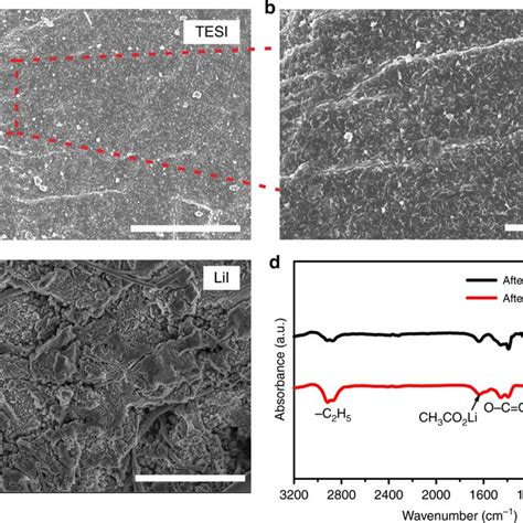 In Situ Formation Process Of Sei Like Layer On Li Anode A Calculated