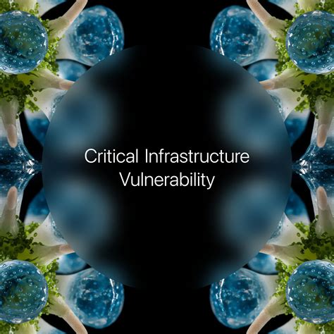 Critical Infrastructure Vulnerability → Term