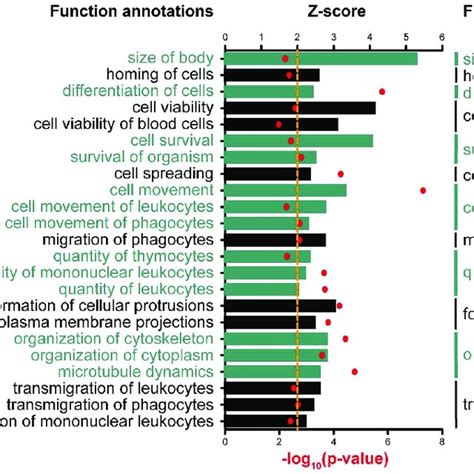 We Used The Ipa Regulation Z Score Algorithm To Identify Biological