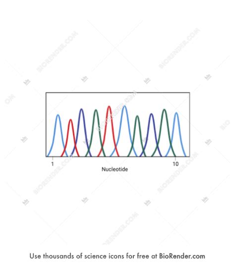 Free Dna Sequencing Graph Icons Symbols And Images Biorender
