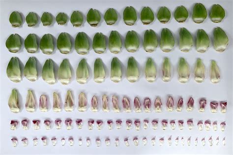 Docker For Bioinformatics Reproducibility At The Core