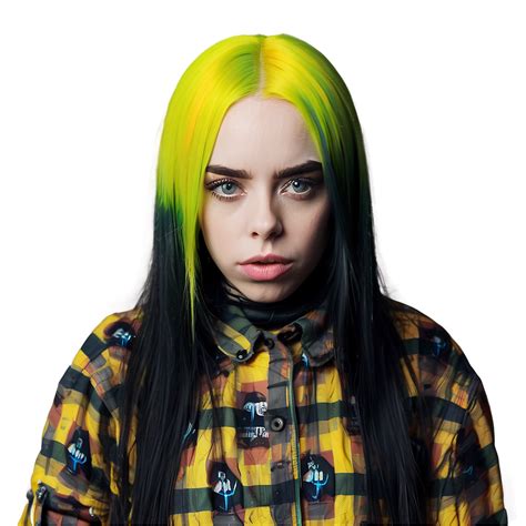 Download Billie Eilish Festival Appearance Png 45 | Wallpapers.com